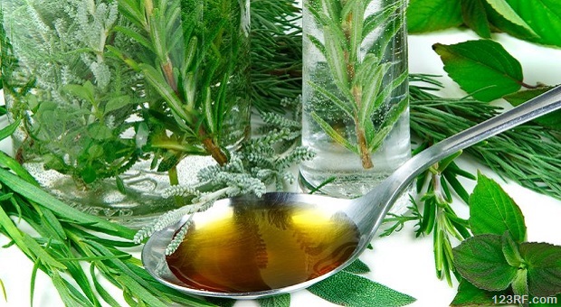 7 Vital Herbs From The Herbalist's Garden | Survivopedia