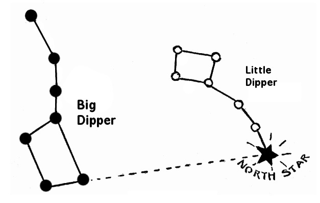 Life in the Wild: Find Your Way Using Nature – Survivopedia