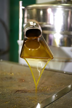 How To Make Your Own Vegetable Oil – Survivopedia