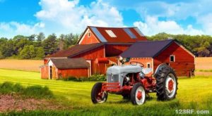 14 Tips for Building Your Survival Farm – Survivopedia