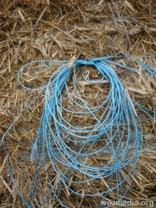 Types Of Rope And Why You Need Them - Survivopedia