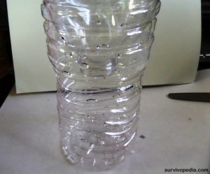 DIY Project: How To Make A Bug Catcher – Survivopedia