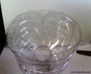 DIY Project: How To Make A Bug Catcher – Survivopedia