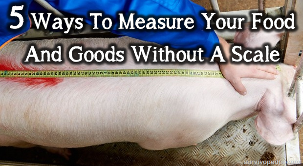 5 Ways To Measure Foods Without A Scale | Survivopedia