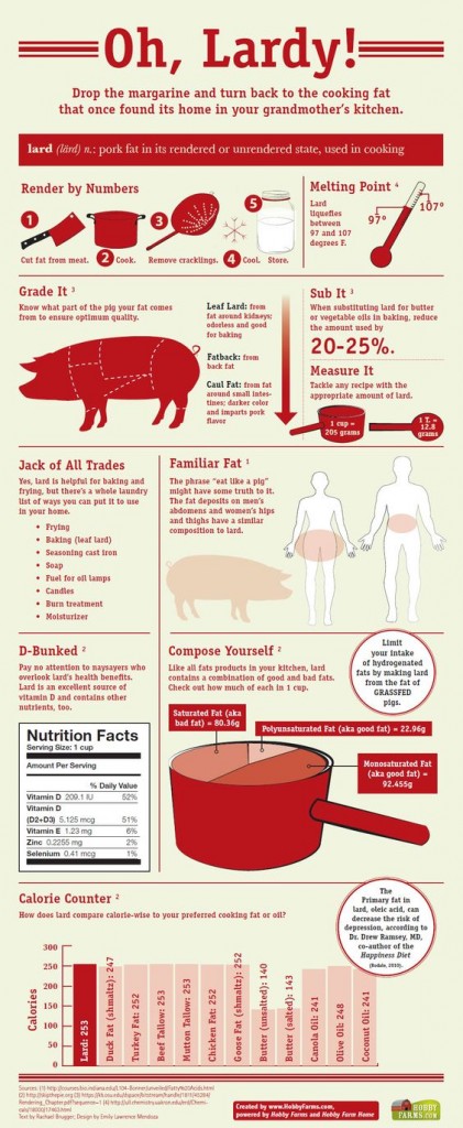 Back To Basics: How To Make And Preserve Lard – Survivopedia