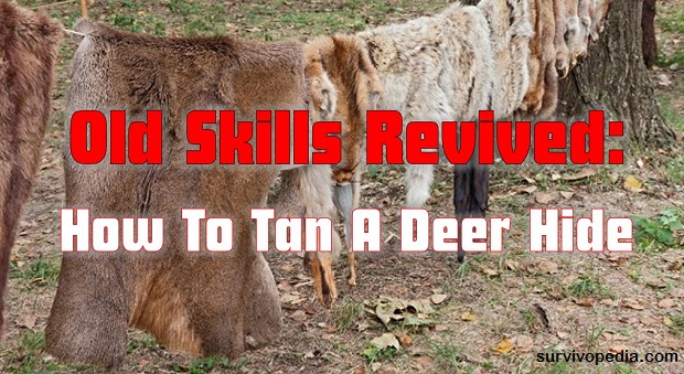 Old Skills Revived: How To Tan A Deer Hide | Survivopedia