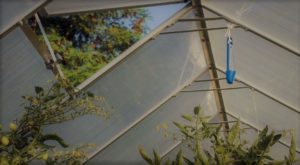 How To Build A Walipini Greenhouse – Survivopedia