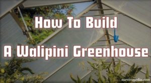 The Cor Outfitters Intelligence Community: How To Build A Walipini ...