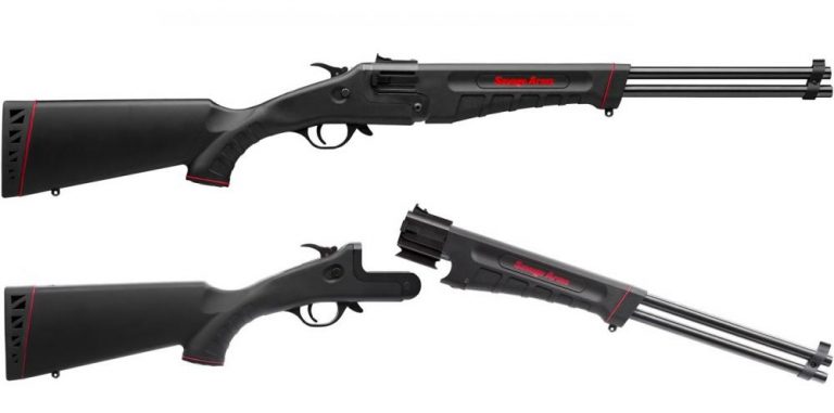 8 Best Takedown Rifles You Need In 2020 – Survivopedia