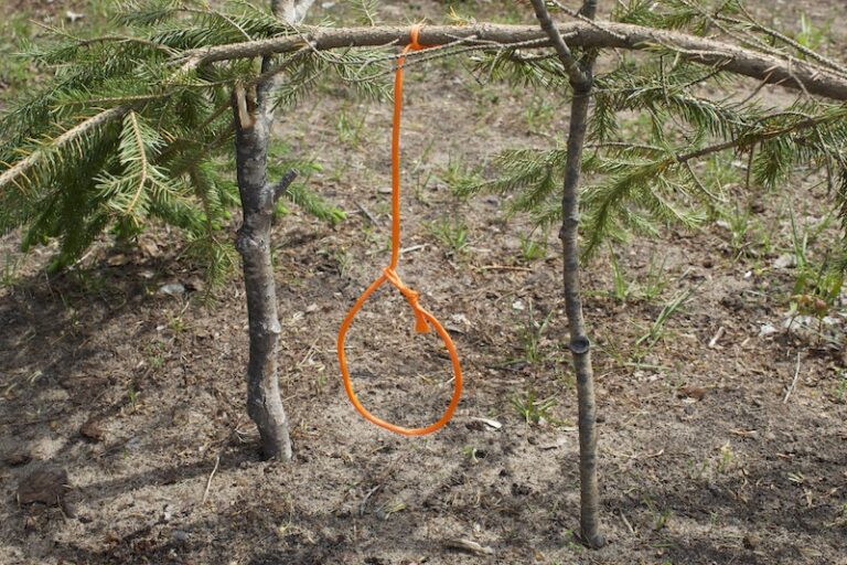 Trapping Part 2: Must Know Skills: Deadfall & Snare – Survivopedia