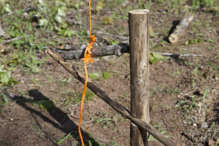 Trapping Part 2: Must Know Skills: Deadfall & Snare – Survivopedia