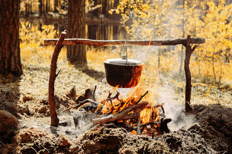 8 types of cooking in the wild you can always count on – Survivopedia