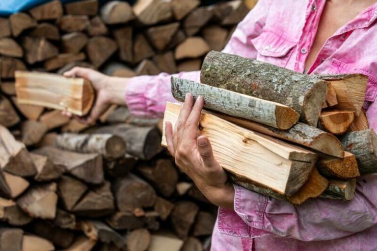 How To Extract Maple Sap From Maple Trees - Survivopedia