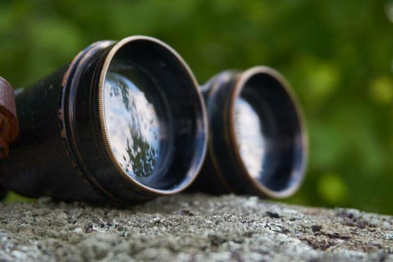 The Pros and Cons Of Optical Enhancers – Part I – Survivopedia
