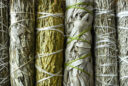 8 Medicinal Plants the Native Americans Used for Survival – Survivopedia