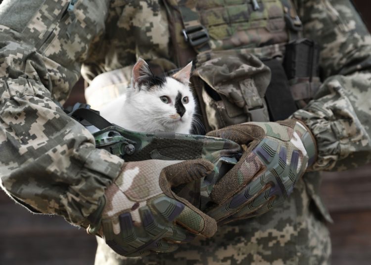 How To Heal Wounds With Sugar – Survivopedia